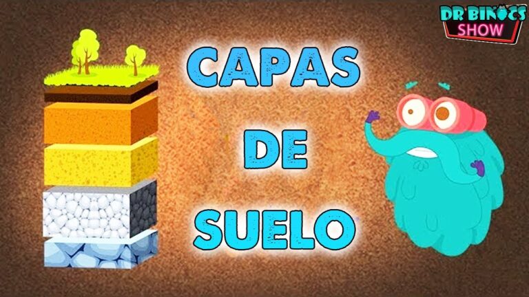 Descubre todo sobre las capas del suelo y sus partes: Un viaje profundo ...