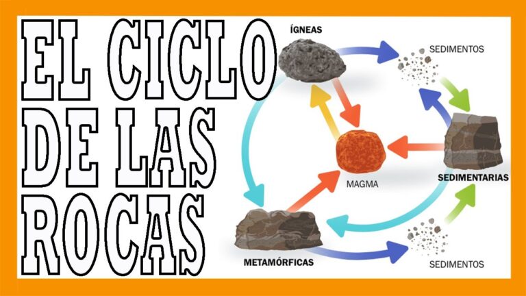 Ciclo de las rocas: Un completo esquema para entender su proceso ...