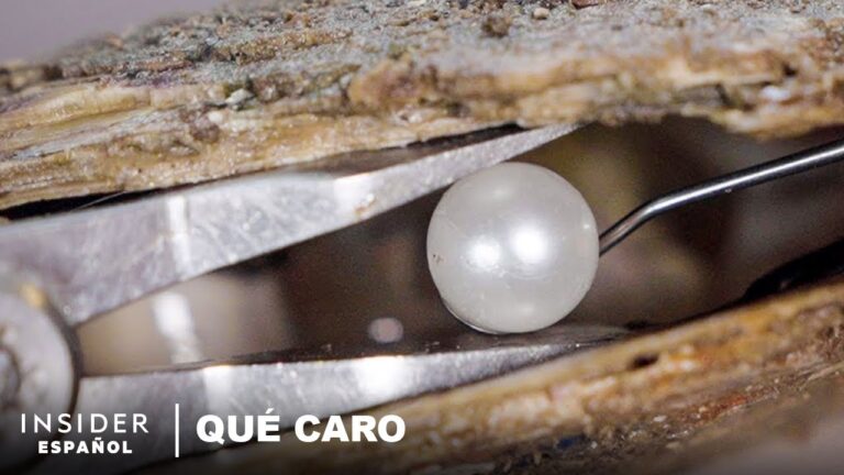Descubre la Perla más cara del mundo: Todo lo que necesitas saber sobre ...