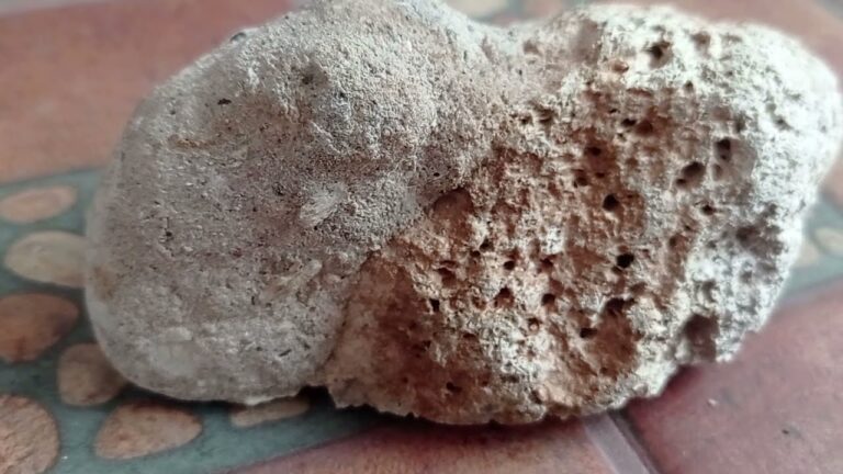 Descubre todo sobre la piedra pómez: ¿Qué es, para qué se utiliza y sus ...