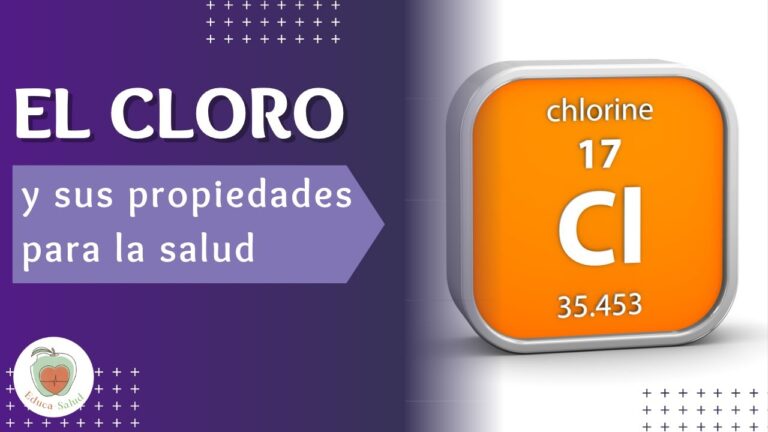 Dónde se Encuentra el Cloro en el Cuerpo Humano: Todo lo que Debes ...