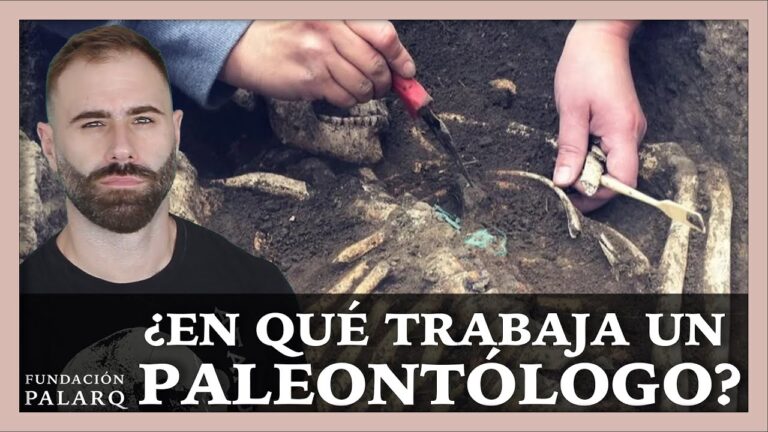 Descubre qué es un paleontólogo y su fascinante labor en la historia ...