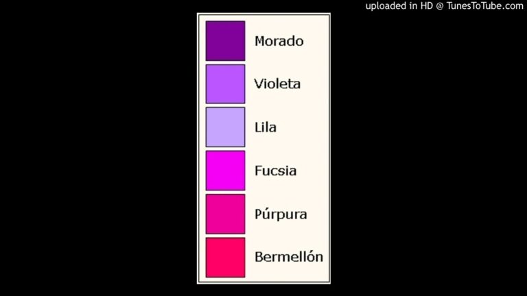 Descubre los diferentes tipos de morados y sus nombres: una guía ...
